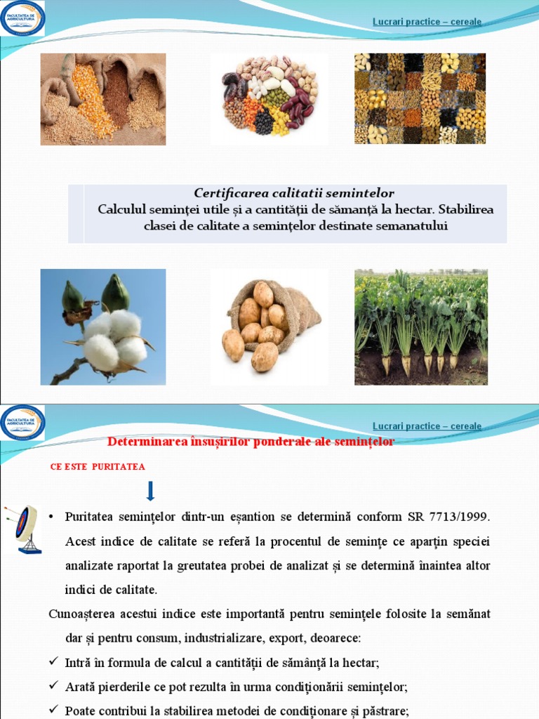 LP 2. Calculul Semintei Utile Si A Normei de Sam Ha-13.10.20 | PDF
