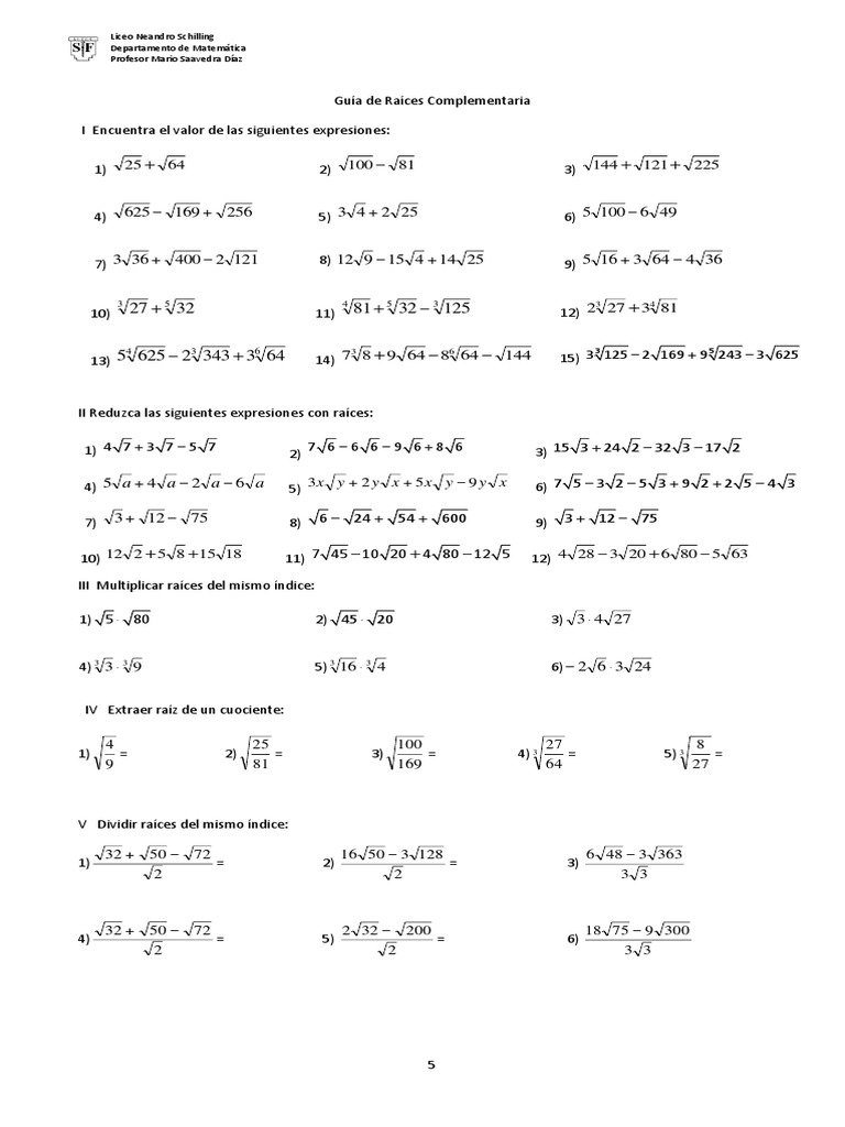 Modulo V - Raíces - Guía Complementaria | PDF