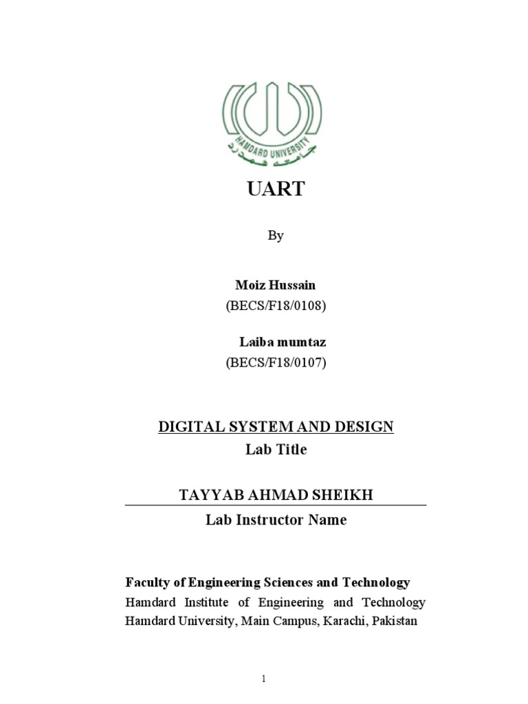 WE Project Report Moiz, Ali | PDF | Computing | Computer Engineering