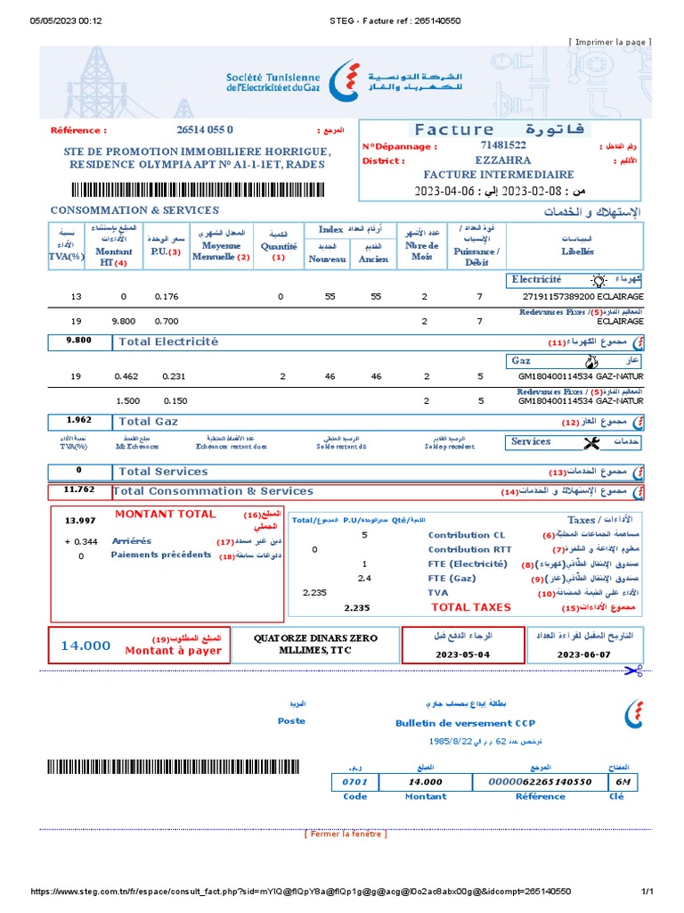 Steg - Facture Ref - 265140550 Horrigue 05-05-23 | PDF