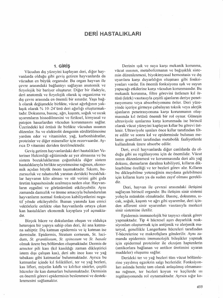Deri Hastalıkları | PDF