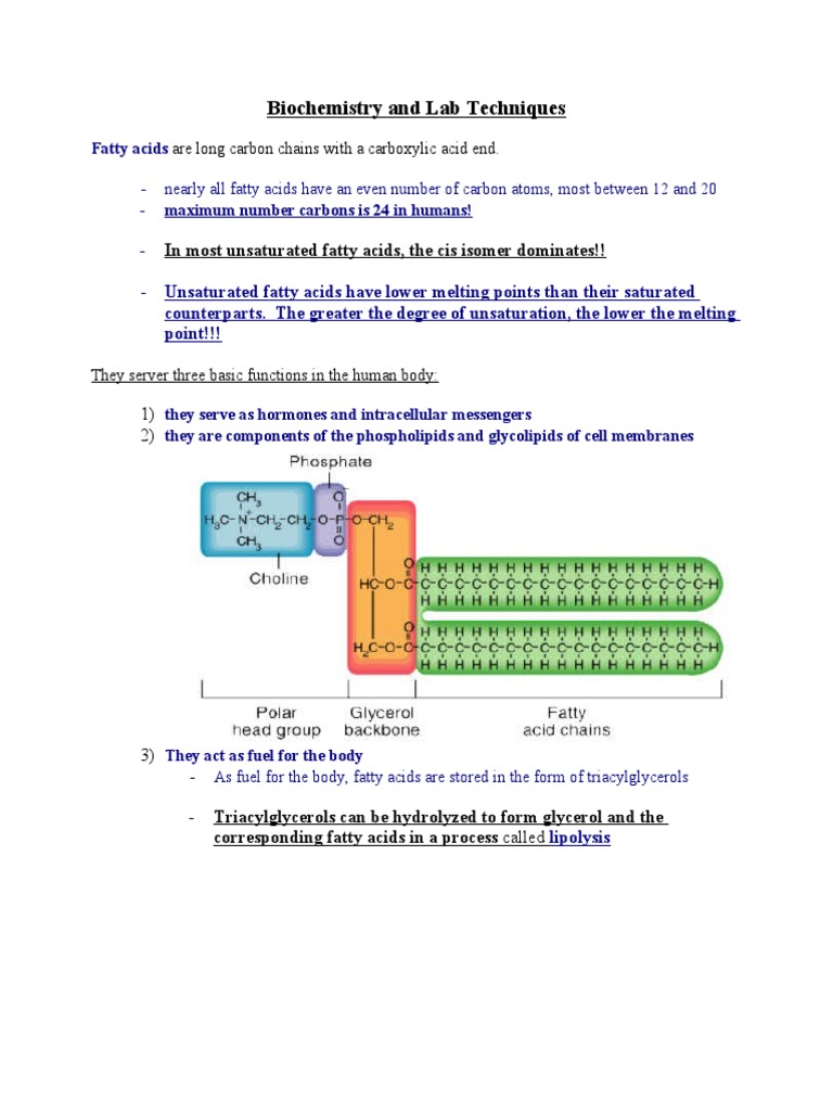 Lecture 4 Biochemistry And Lab Techniques Pdf Chromatography