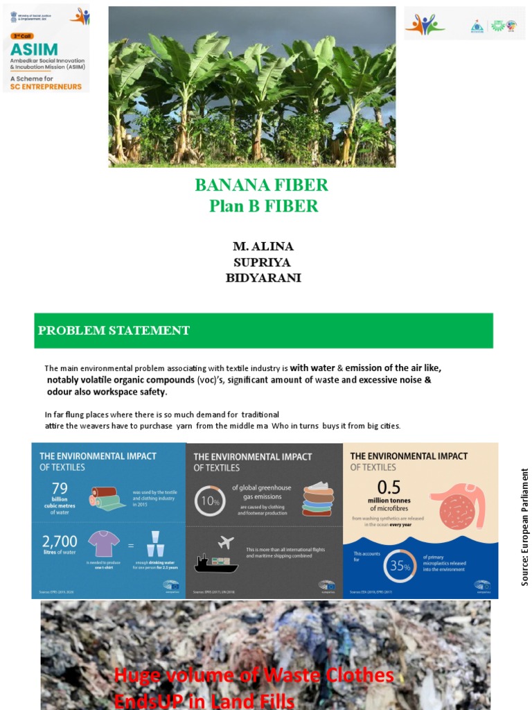 ASSIM KIIT TBI BANANA FIBER ALINA .PPT | PDF | Fibers | Textiles