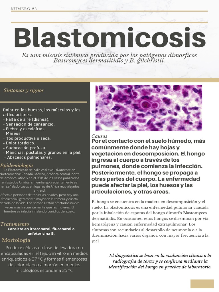 blastomicosis | PDF