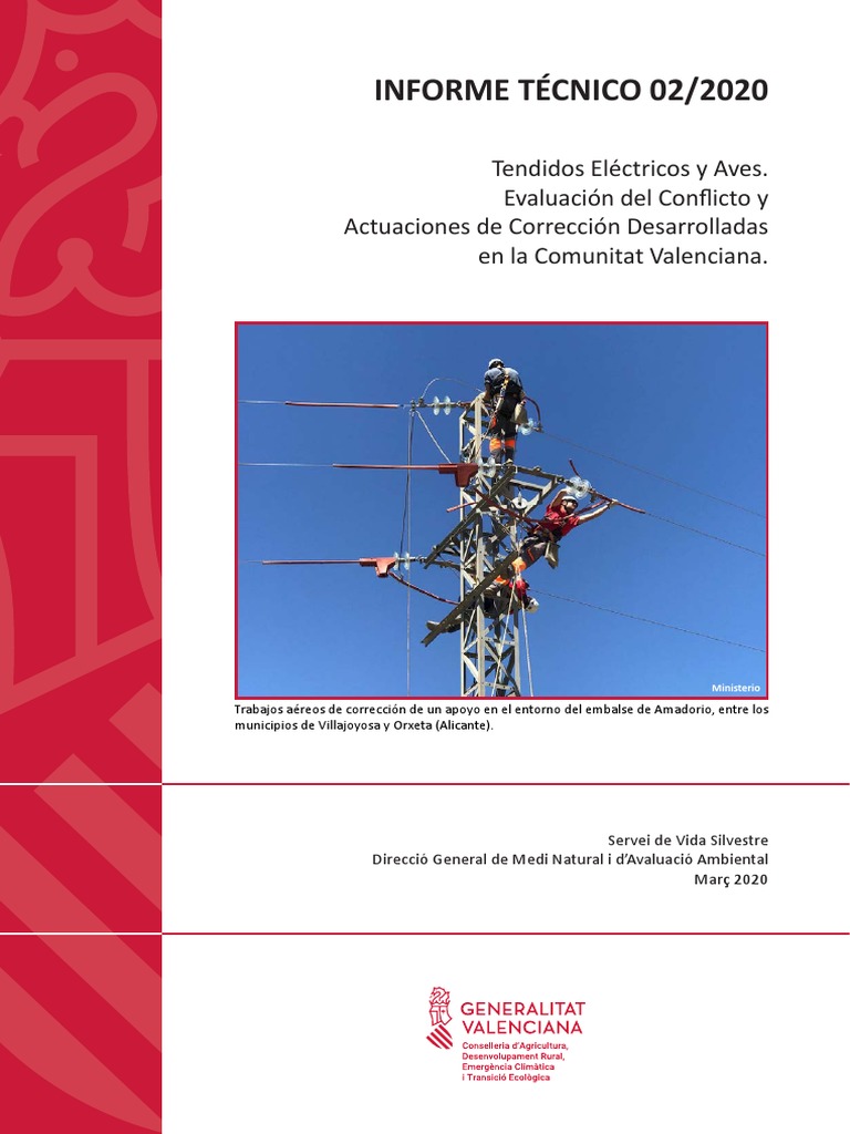 IT02 - 2020 Tendidos Eléctricos y Aves - Evaluacion Del Conflicto y Actuaciones Correctoras ...