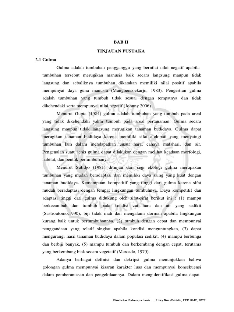 Rizky Nur Wahidin BAB 2-1 | PDF