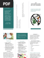 Tríptico - Prevención de Adicciones | PDF | Drogas | Depresión (estado de ánimo)