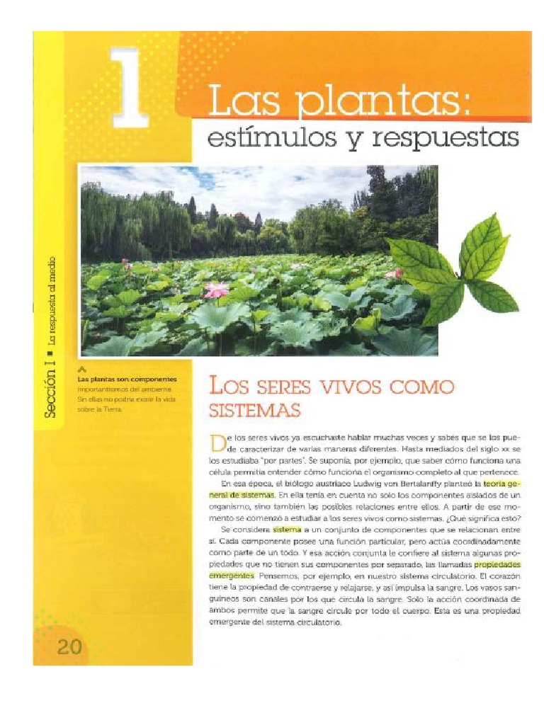 Biología 3 - Vale Saber - Unidad 1-1 | PDF