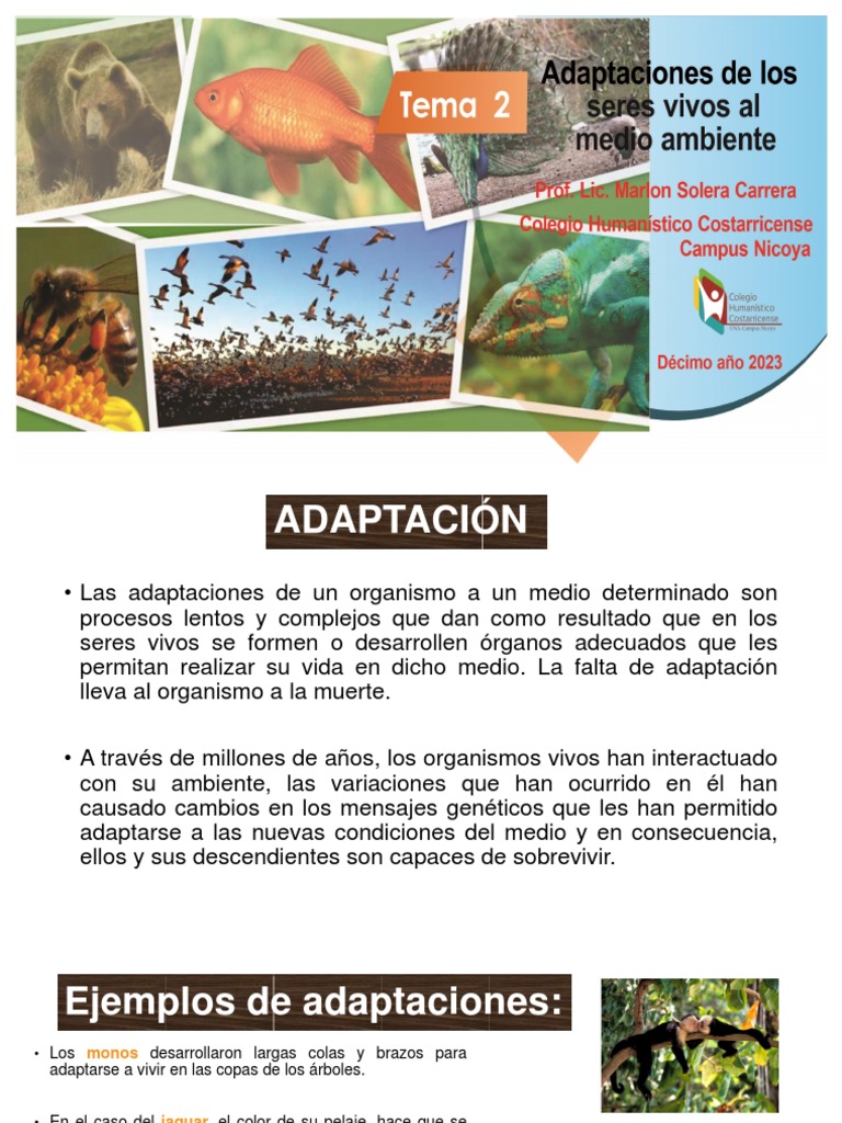 Ejemplos de Adaptaciones Biológicas | PDF | Depredación | Evolución