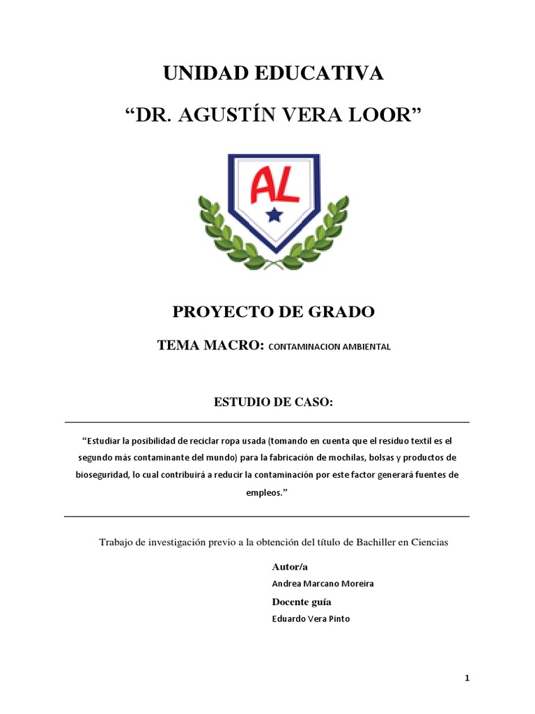Proyecto de Grado Avl - Andrea Marcano | PDF