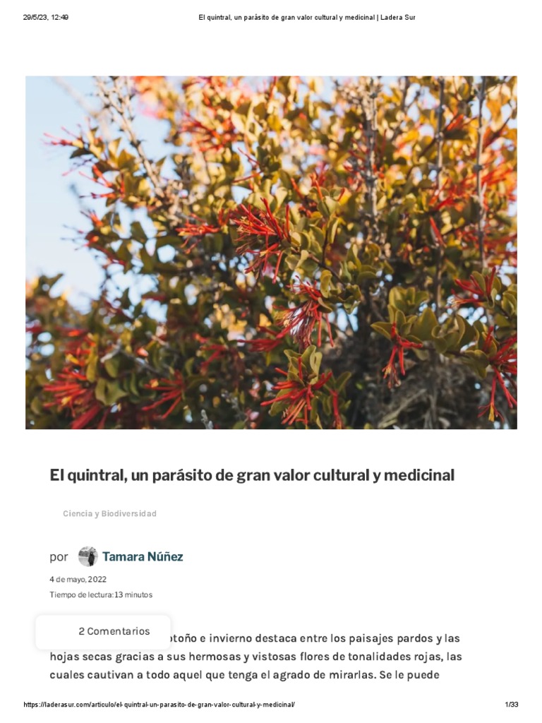 El quintral: valor cultural y medicinal | PDF