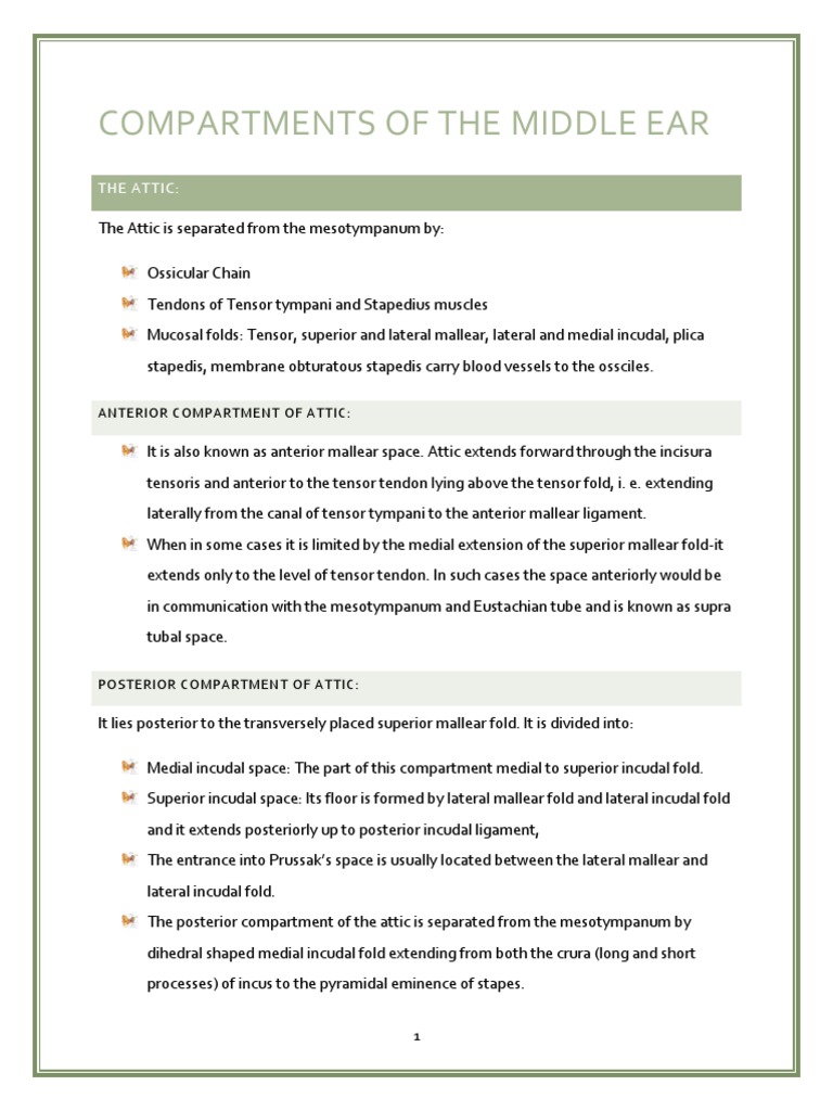 Dialogue With The Ent Residents Compartments Of The Middle Ear Pdf