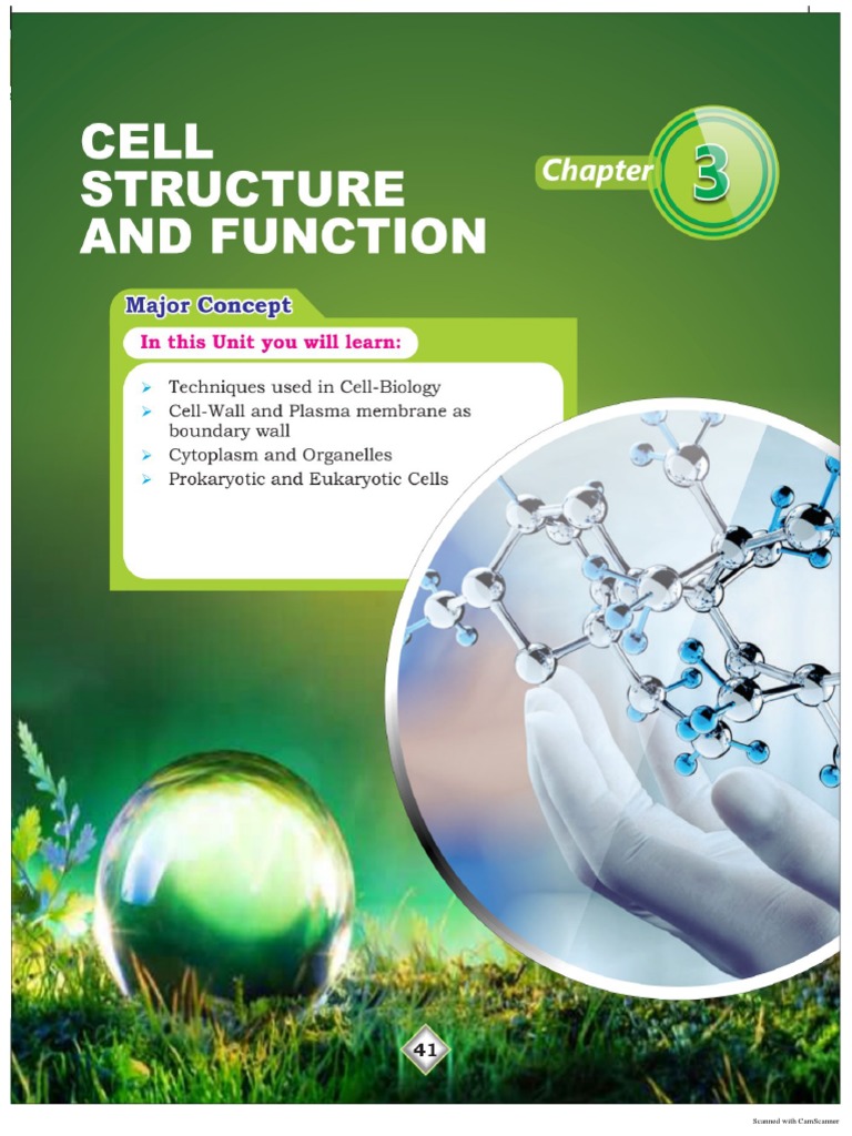 CamScanner Document Repeated | PDF