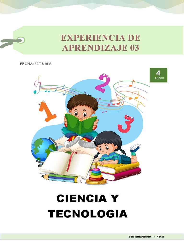 Sesion Ciencia y Tecnologia. El Sistema Excretor | PDF Sesion Ciencia y Tecnologia. El Sistema Excretor | PDF
