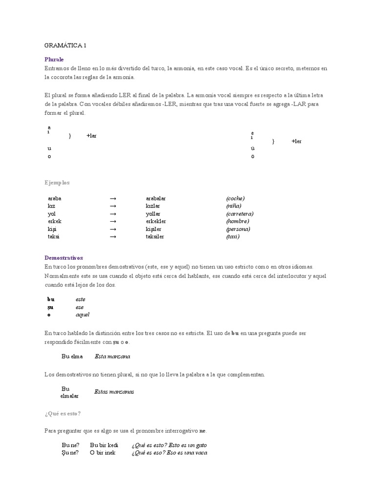 Gramatica Completa Turca | PDF | Verbo | Lingüística