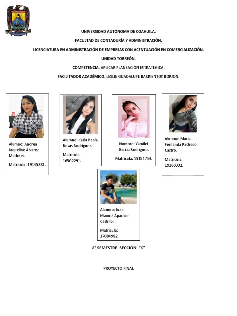 Proyecto Final P.E | Descargar gratis PDF | Marketing | Planificación estratégica