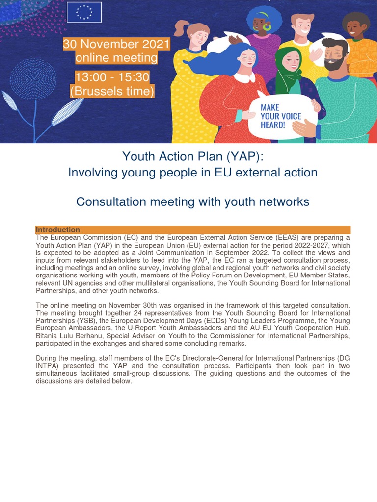 Youth Action Plan Consultation Insights | PDF | European Union