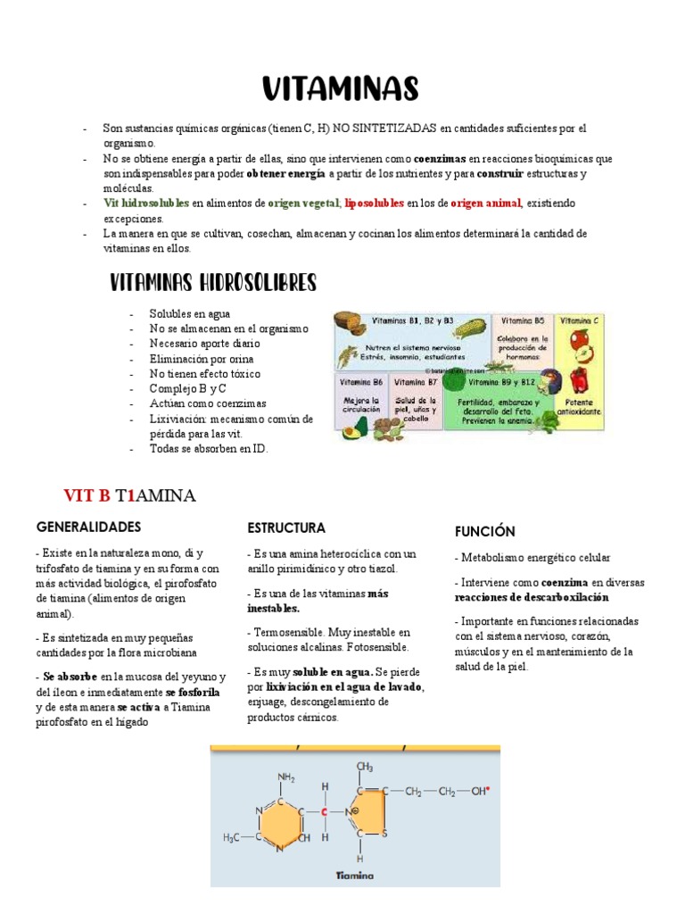 Vitaminas: Funciones y Fuentes | PDF | Vitamina a | Alimentos