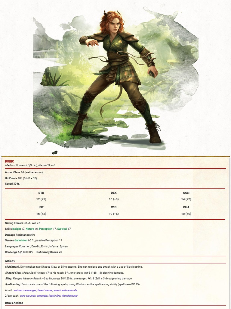 D&D Character Sheets: Thieves & Druids | PDF | Wizards Of The Coast | Dungeons & Dragons