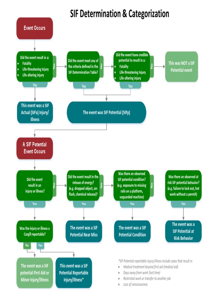 SIF Determination and Categorization Guide | PDF | Injury | Epidemiology