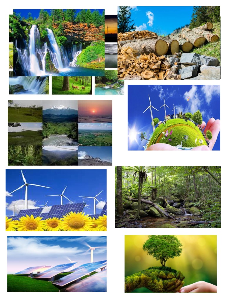 Recursos Naturales Cliente | PDF