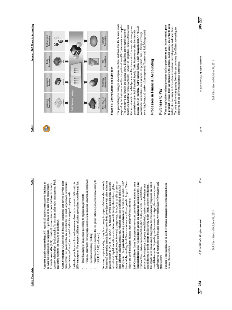 Sap P01 | PDF