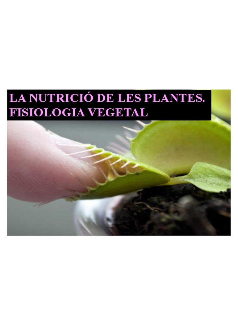 Captura 2023-06-07 A Las 5.04.38 | PDF