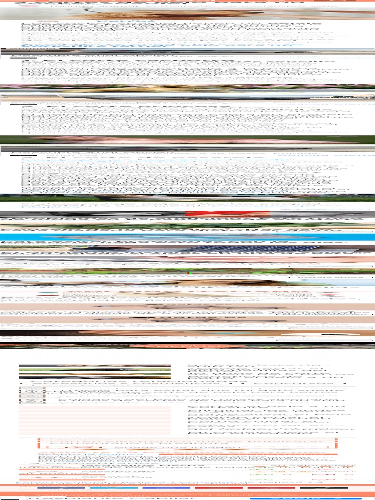 3 Cortes de Pelo para Un Cocker Spaniel 21909.html | PDF