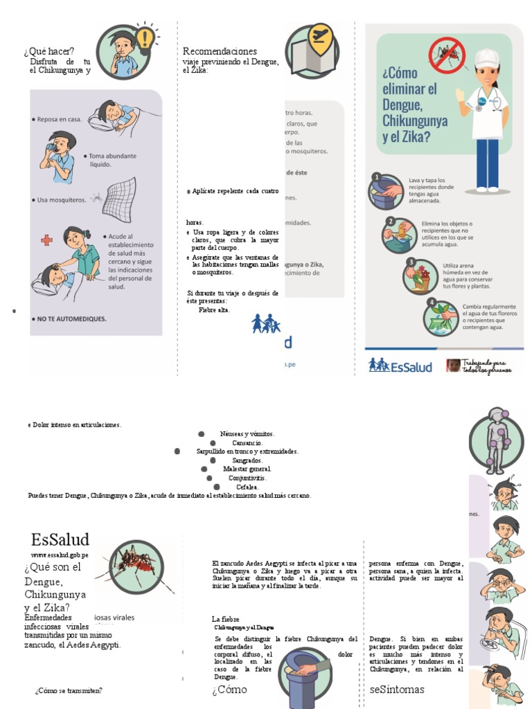 Triptico Dengue Zika Chicungunya | PDF | Fiebre del zika | Microbiología Triptico Dengue Zika Chicungunya | PDF | Fiebre del zika | Microbiología