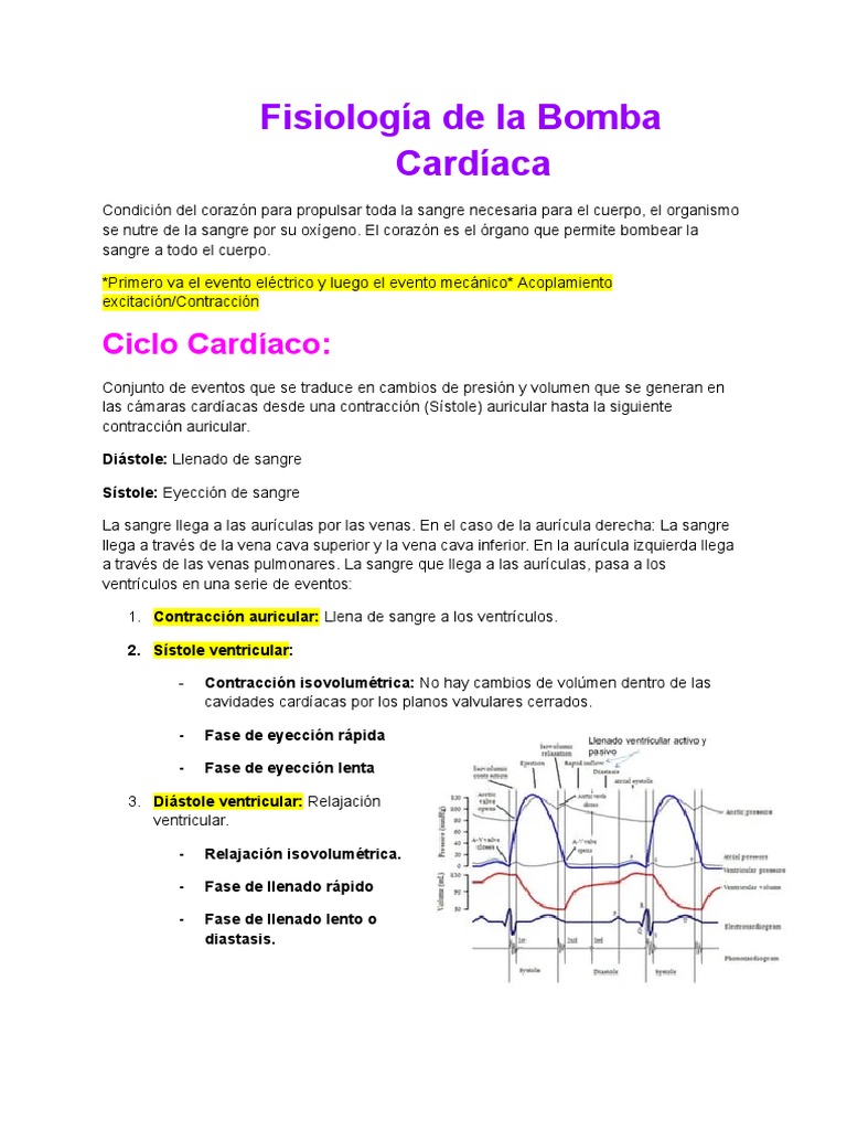 Apuntes- Fisiología de la Bomba Cardíaca | PDF | Ventrículo (corazón ...