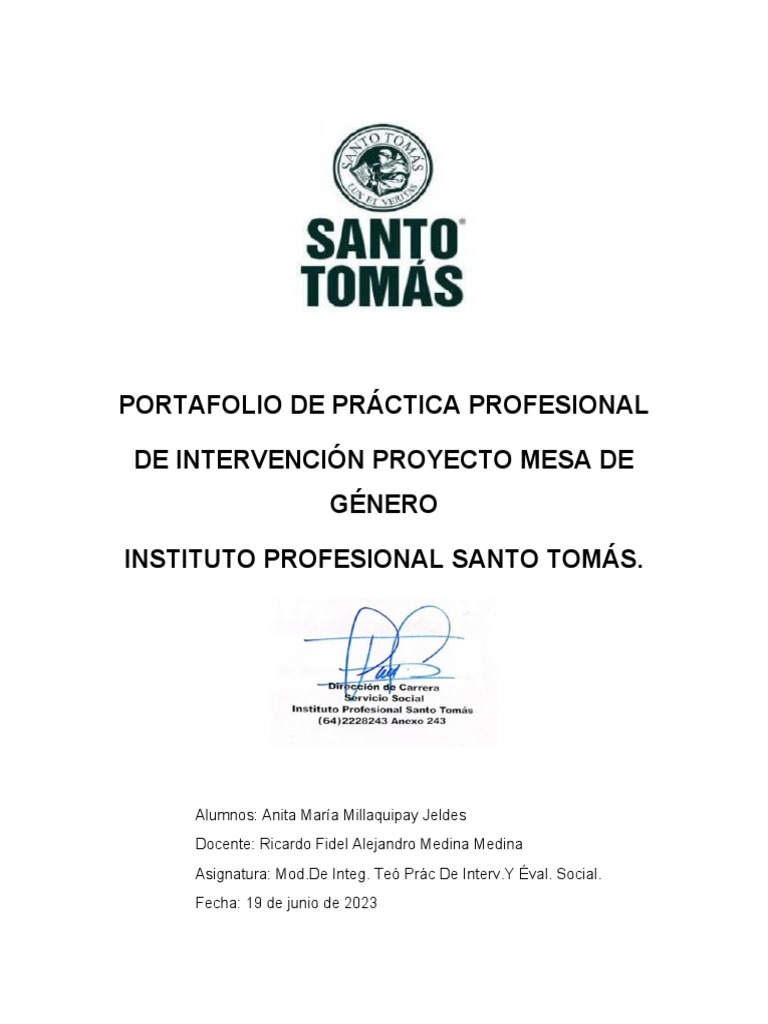 Portafolio de Práctica Profesional 3 | PDF | Trabajo Social