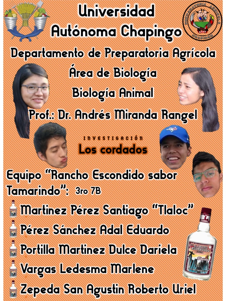 Biología Animal Los Cordados | PDF | Sistema circulatorio | Vertebrados