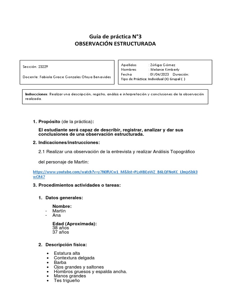 Guía de Práctica N 3 | PDF