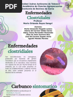Reticulitis Traumatica y Secuelas | PDF | Medicina CLINICA ...