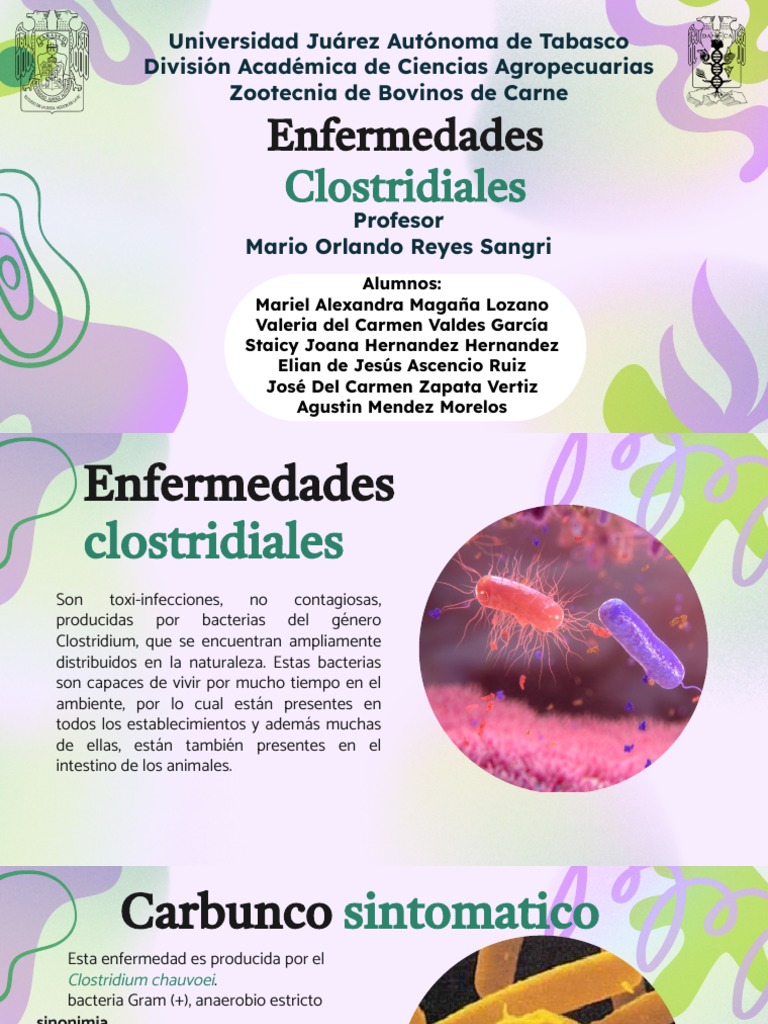 Enfermedades Clostridiales | PDF | Especialidades Medicas | Medicina