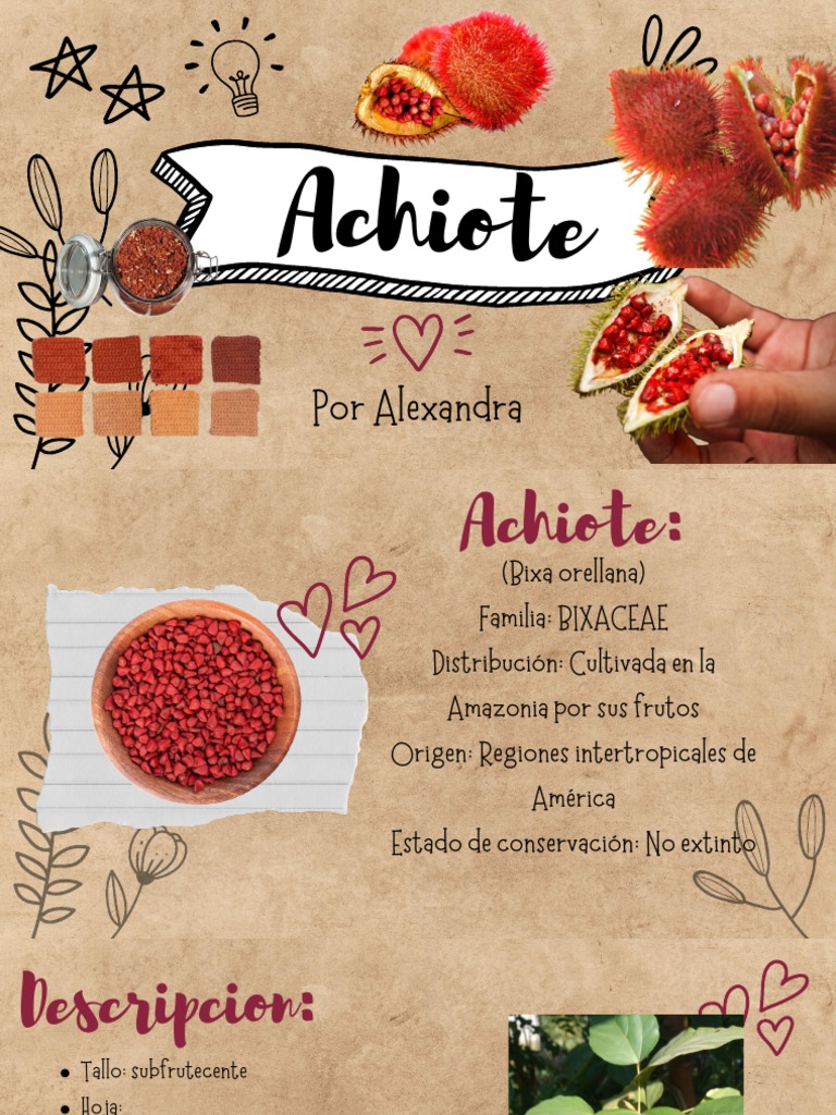Achiote | PDF