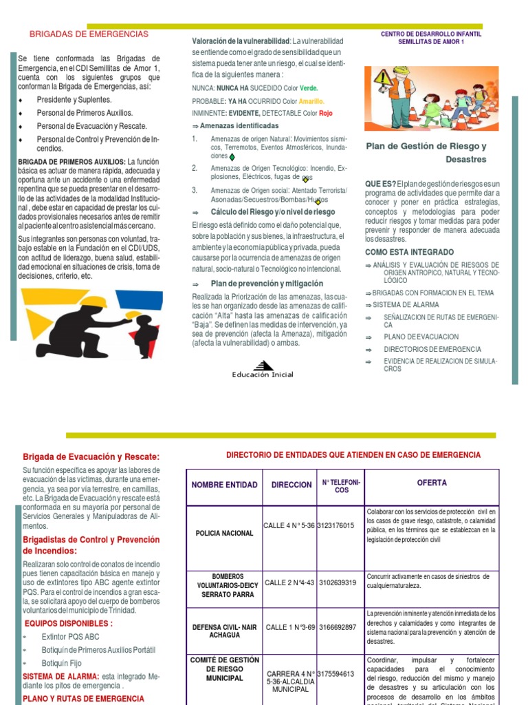 Folleto Plan de Gestion de Riesgo-Semillitas Amor 1 | PDF | Defensa ...