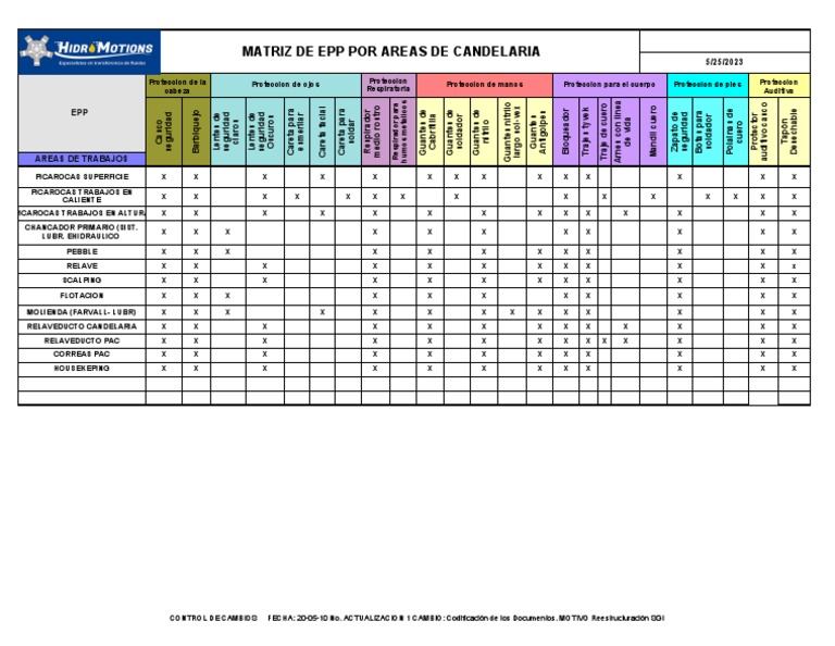 Matriz Epp Por Cargo | PDF | Apariencia humana | Cuerpo humano