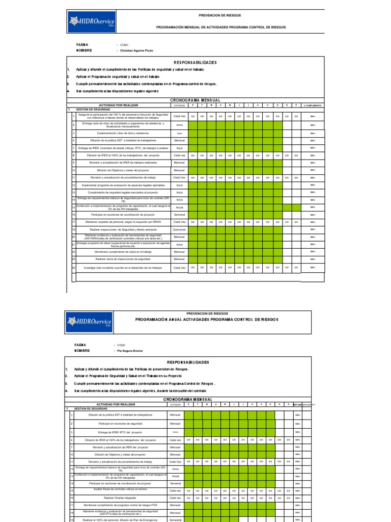 Modelo Programa Mensual de Actividades de Prevención Por Cargo | PDF