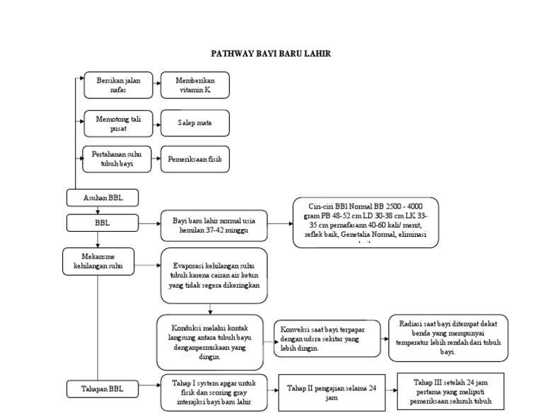 Pathway Bayi Baru Lahir | PDF