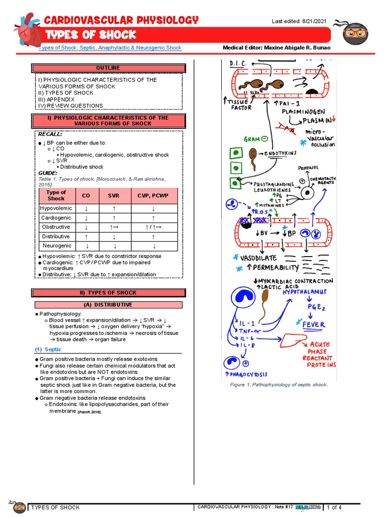 Types of Shock Septic, Anaphylactic Atf | PDF | Shock (Circulatory ...