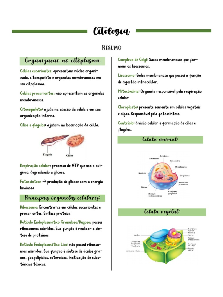 Citologia Resumo PDF | PDF