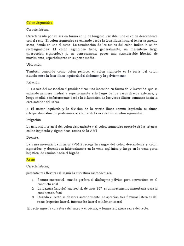 Anatomía del Colon Sigmoideo y Recto | PDF | Órgano (anatomía ...