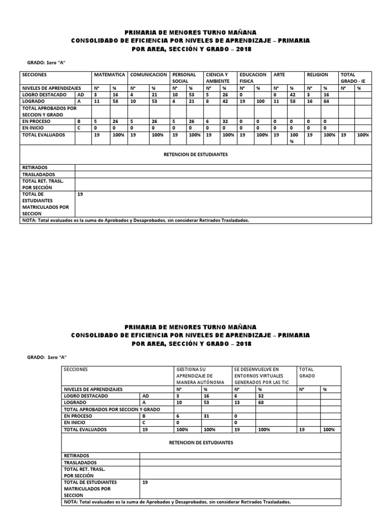 Formato de Eficiencia Interna | PDF