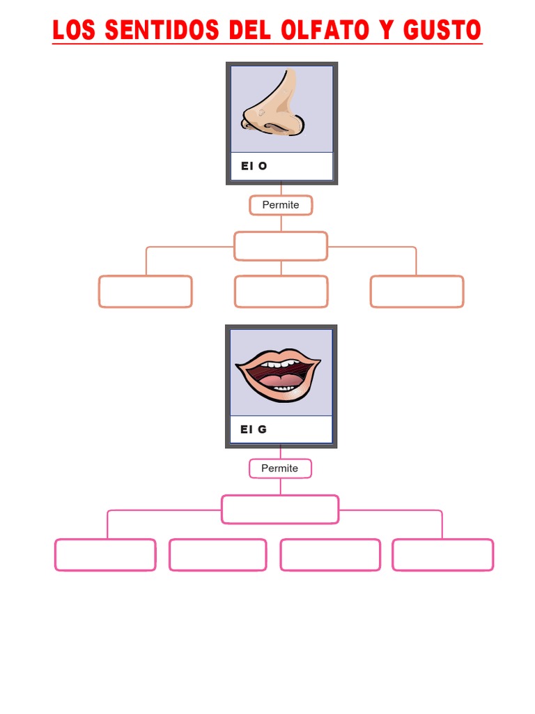 Los-sentidos-del-olfato-y-gusto-para-Segundo-Grado-de-Primaria | PDF