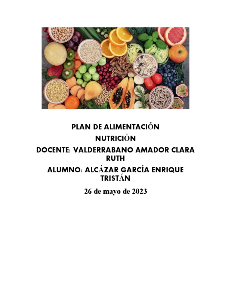 Plan de Alimentación Final | Descargar gratis PDF | Nutrición | Dieta y nutrición