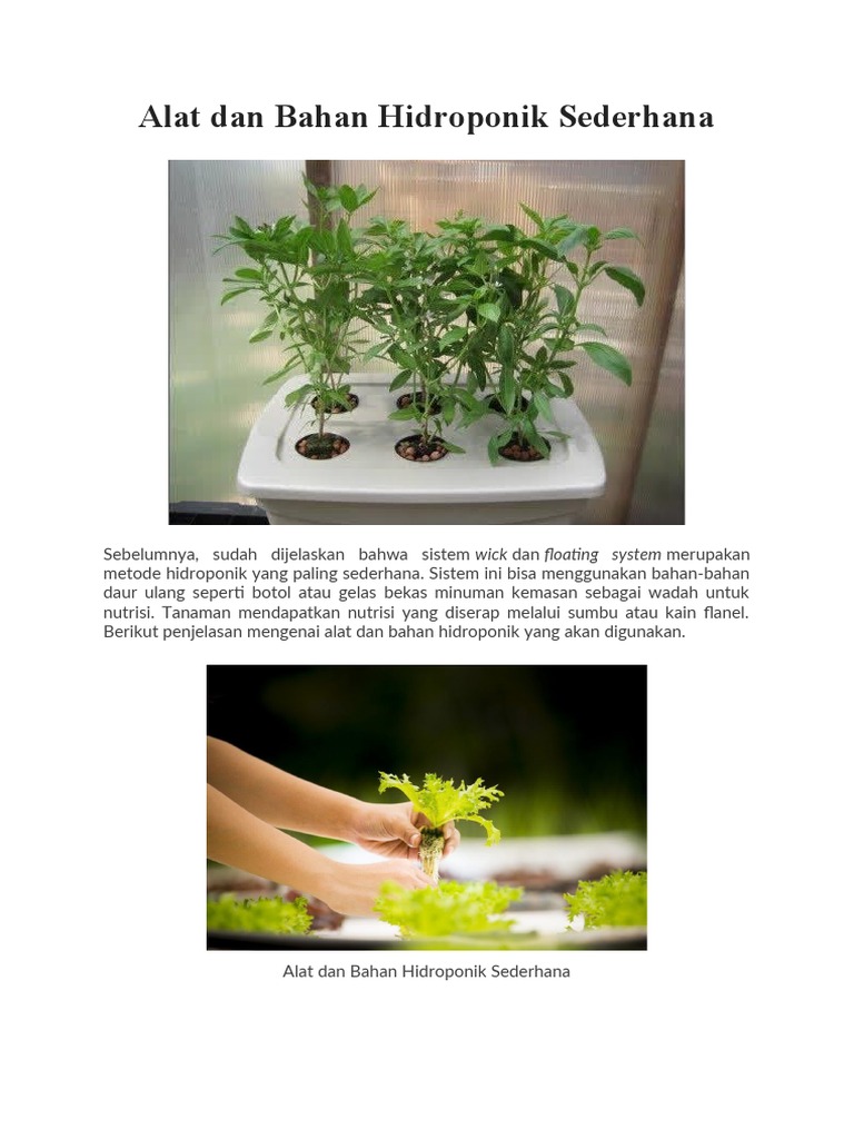 Alat Dan Bahan Hidroponik Sederhana | PDF