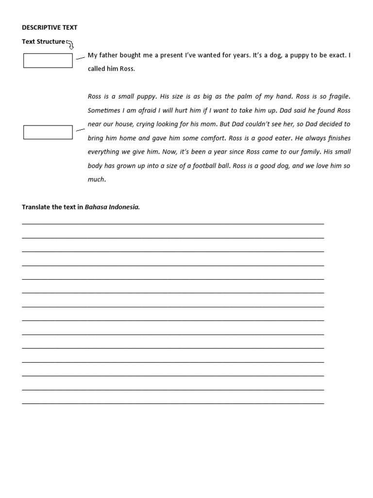 Descriptive Text | PDF