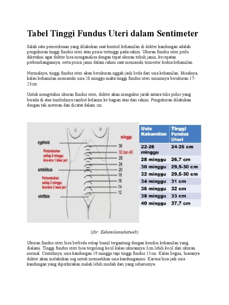Tabel Tinggi Fundus Uteri Dalam Sentimeter | PDF