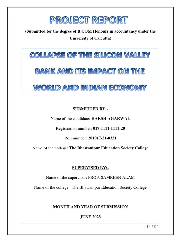 Bcom Sem 6 Project | PDF